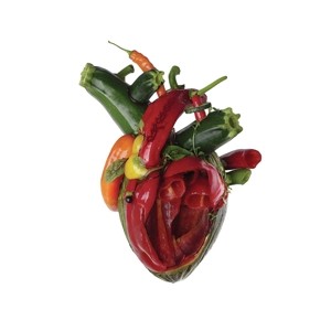 Carcass - Torn Arteries [CD] | Echo's Record Bar Online Store