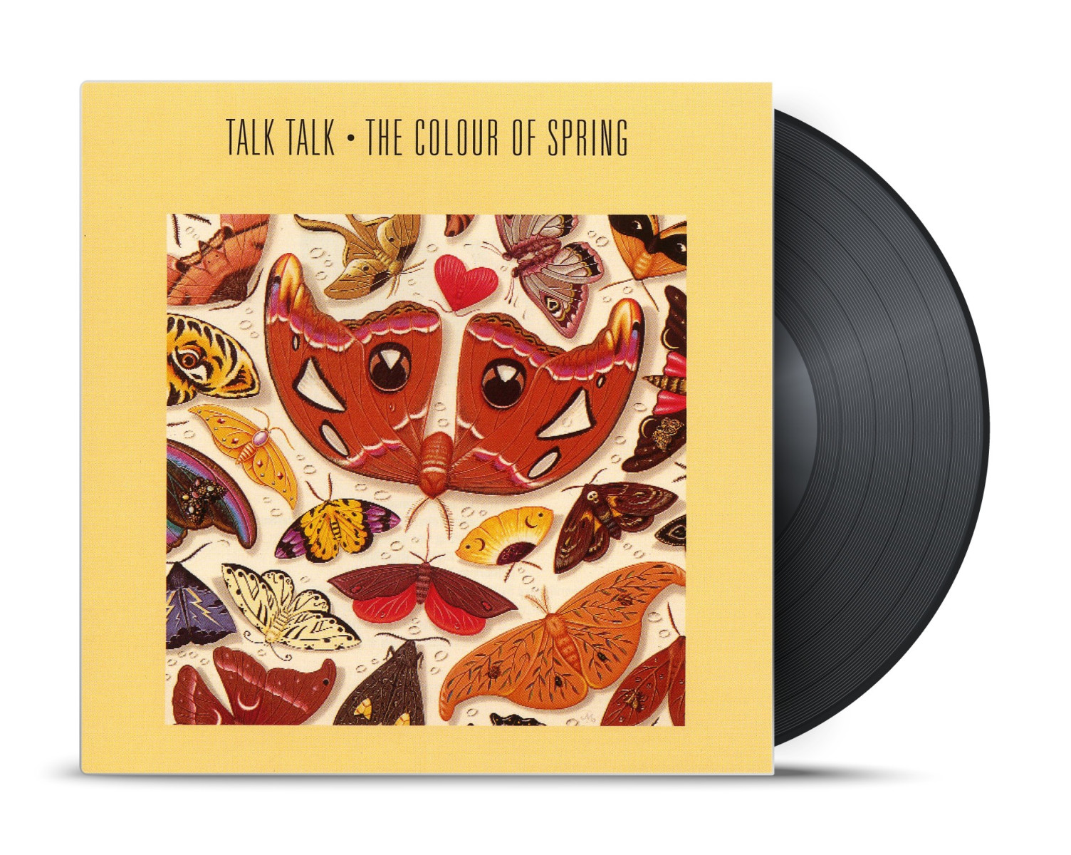 Talk Talk - The Colour Of Spring [VINYL+DVD] | Echo's Record Bar Online ...